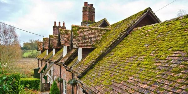 Signs your roof needs to be replaced